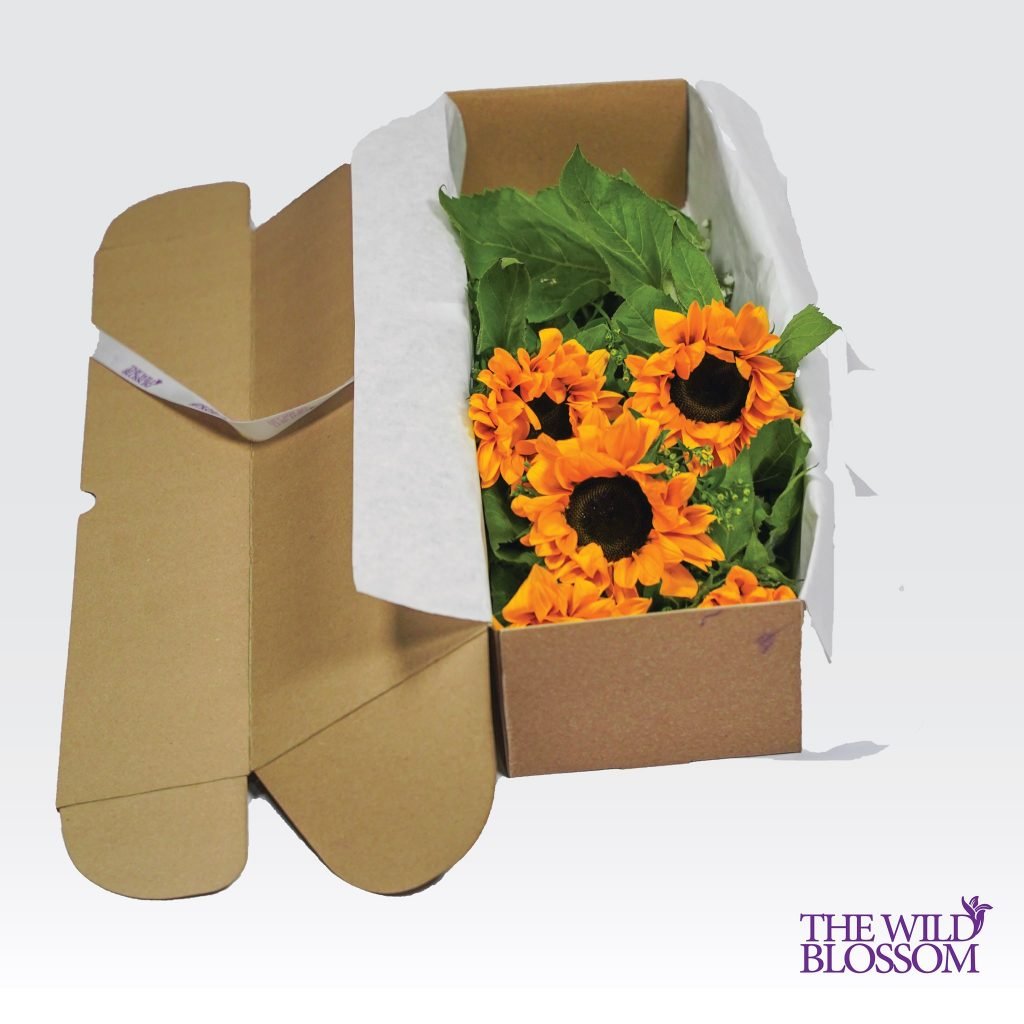 The First-Bloom box | ABDINMORE